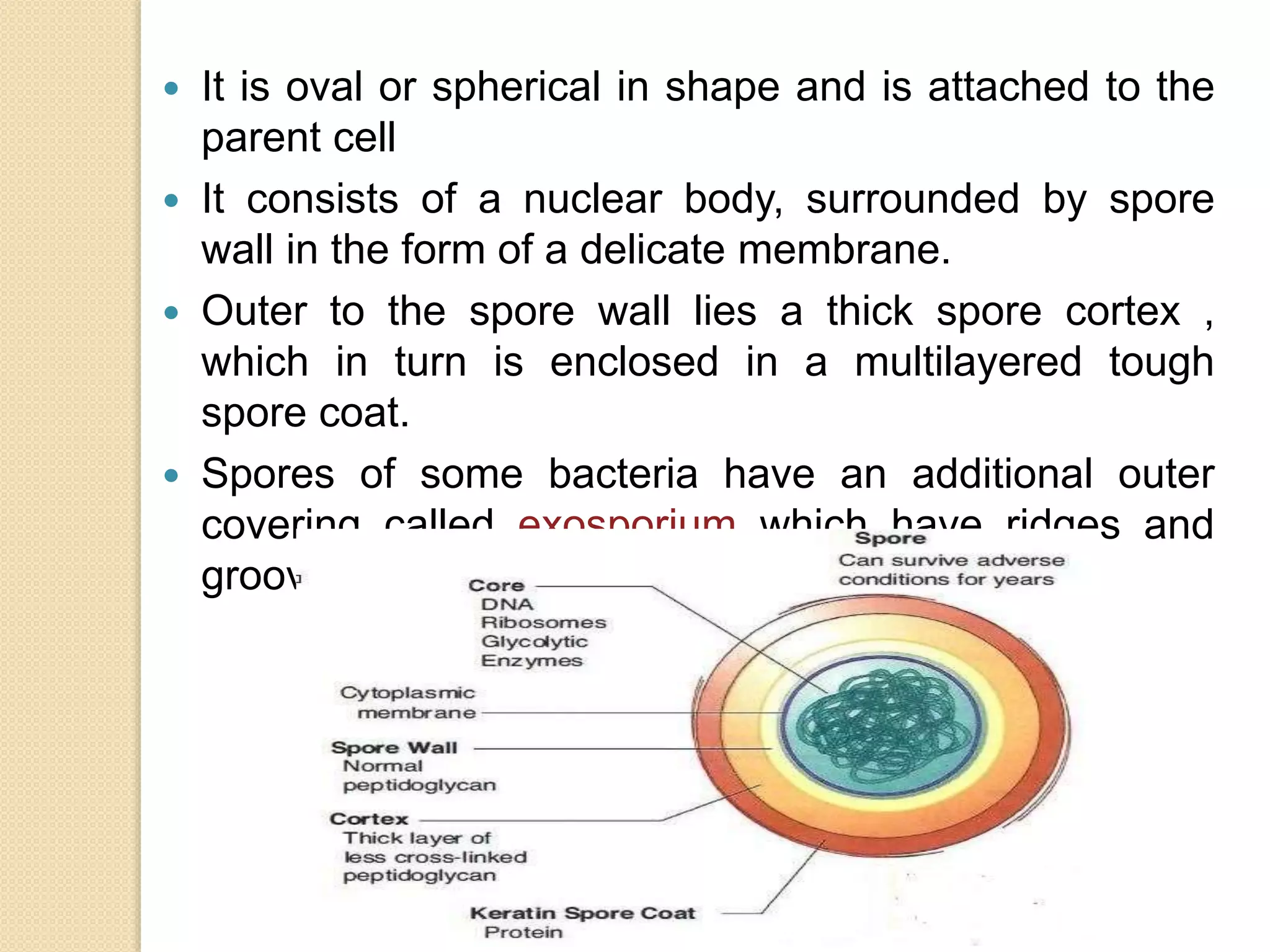 Fundamental principles of microbiology | PPTX