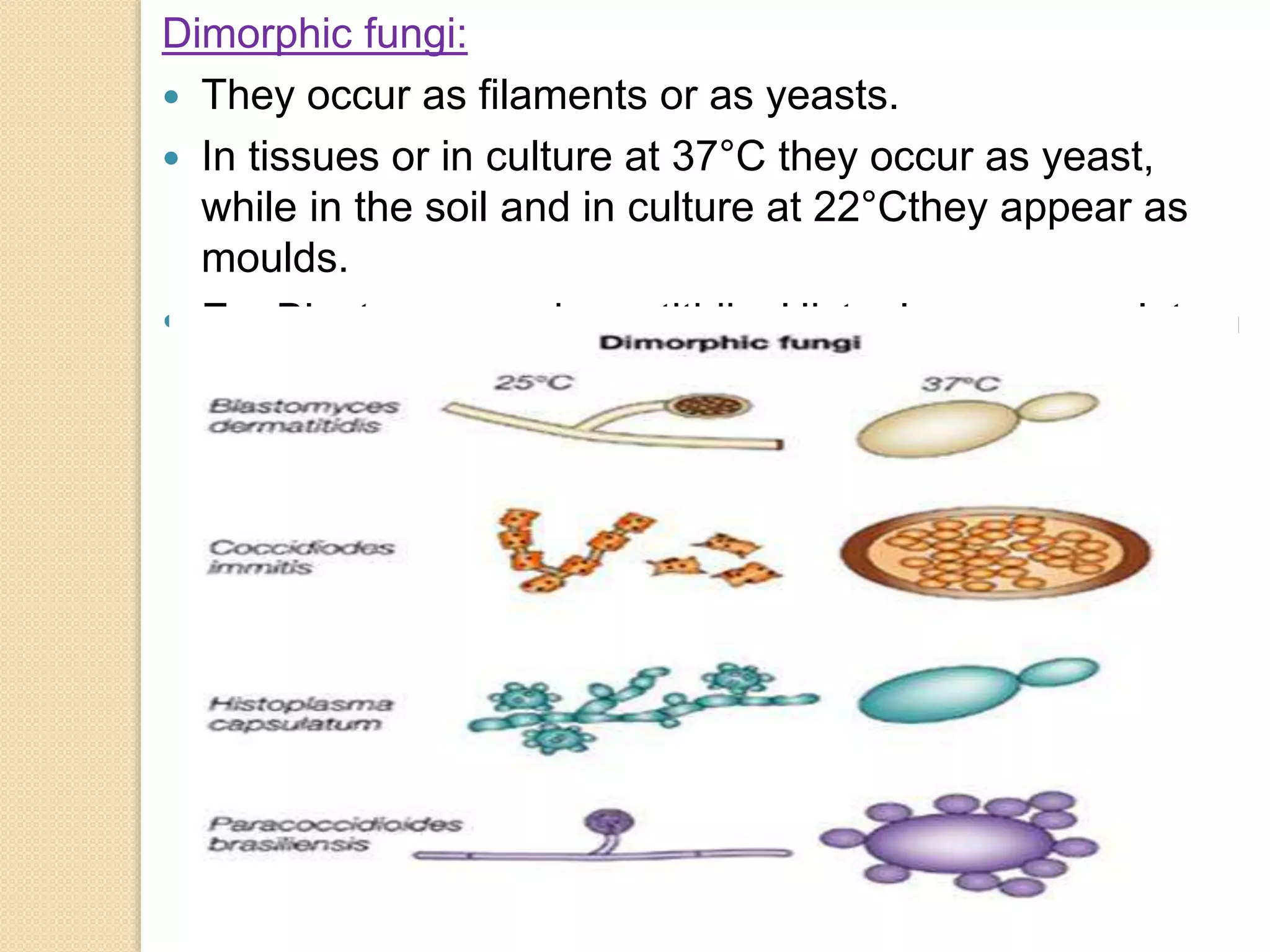 Fundamental principles of microbiology | PPTX