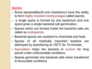 Fundamental principles of microbiology | PPTX