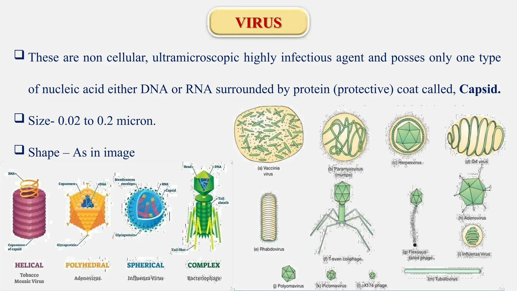 fundamentalprinciplesofmicrobiology-210520075846.pptx