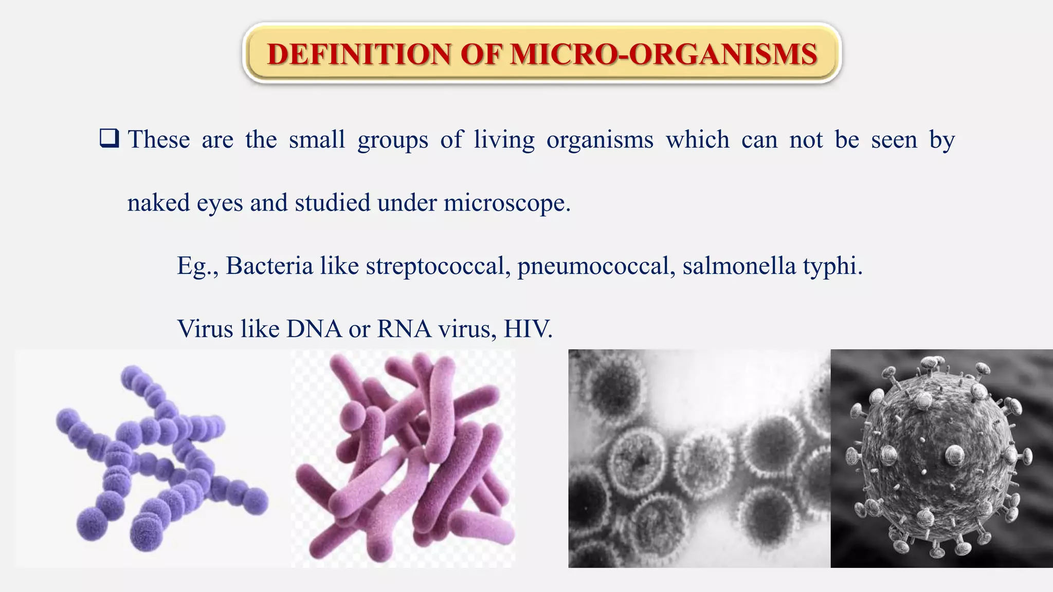 Fundamental principles of microbiology | PPTX
