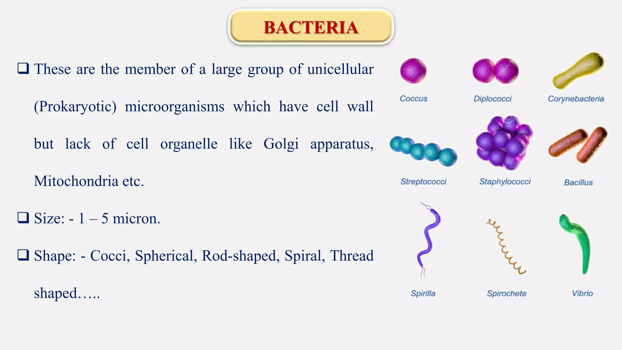 Fundamental principles of microbiology | PPTX