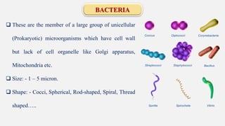 Fundamental principles of microbiology | PPTX