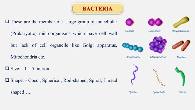 Fundamental principles of microbiology | PPTX | Biological Sciences ...
