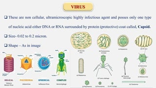 Fundamental principles of microbiology | PPTX