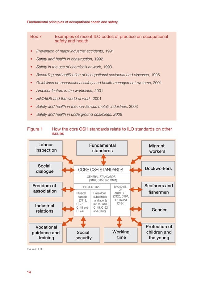 Fundamental principles of ohs | PDF