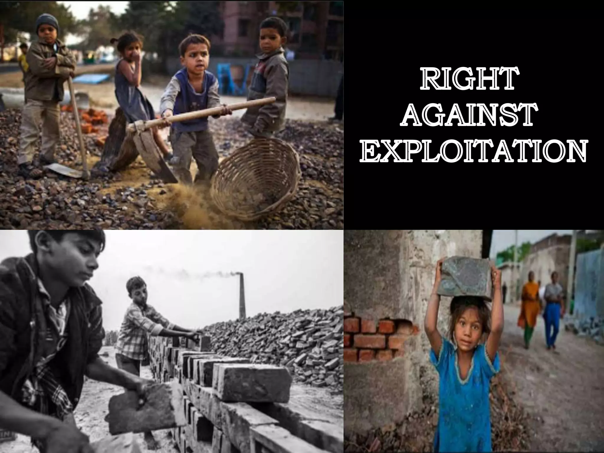 Fundamental rights | PPTX