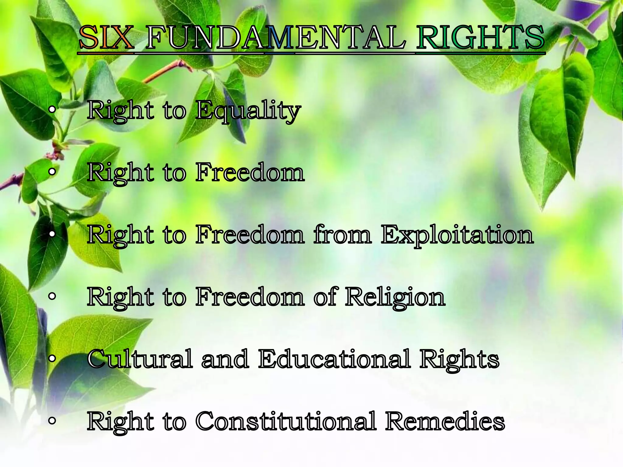 Fundamental rights | PPTX