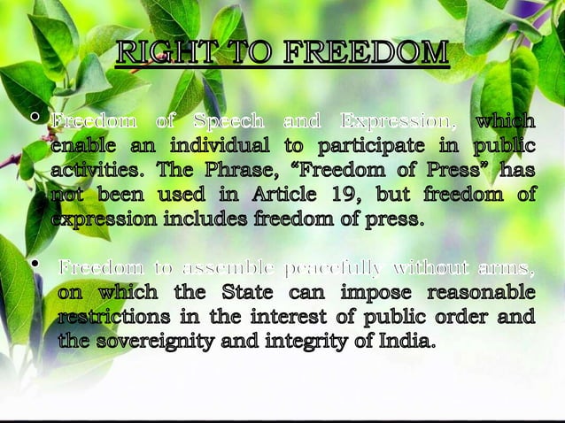 Fundamental rights | PPTX | Political Issues & policy | Politics