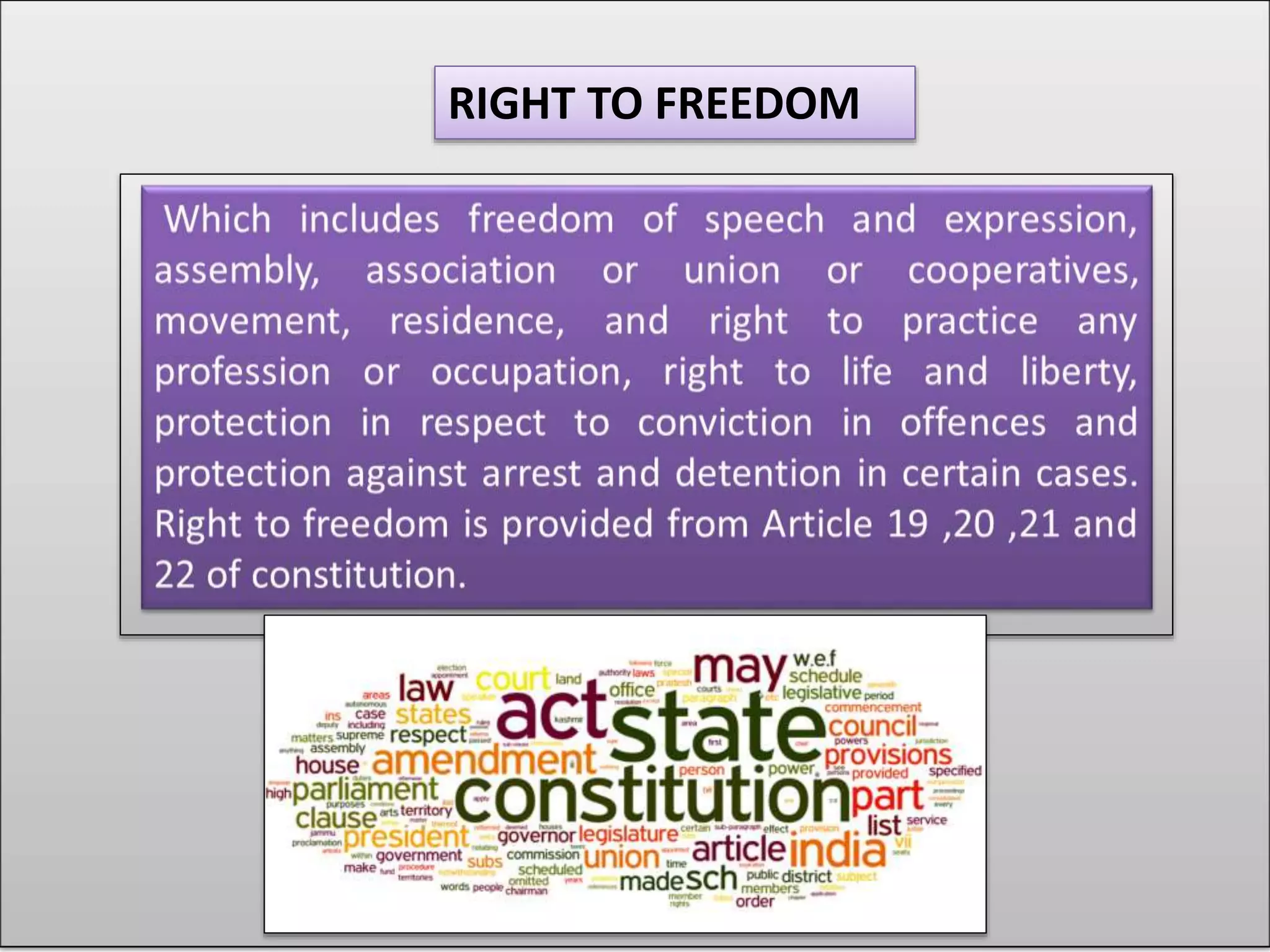 Fundamental rights | PPT