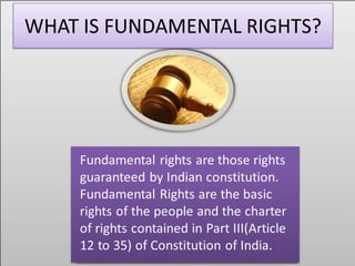 Fundamental rights | PPT