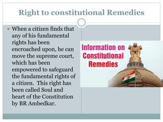 Fundamental rights | PPTX
