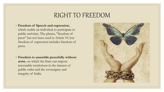 Fundamental rights & directive principles | PPTX