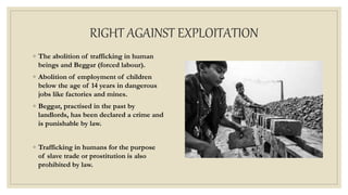 Fundamental rights & directive principles | PPTX