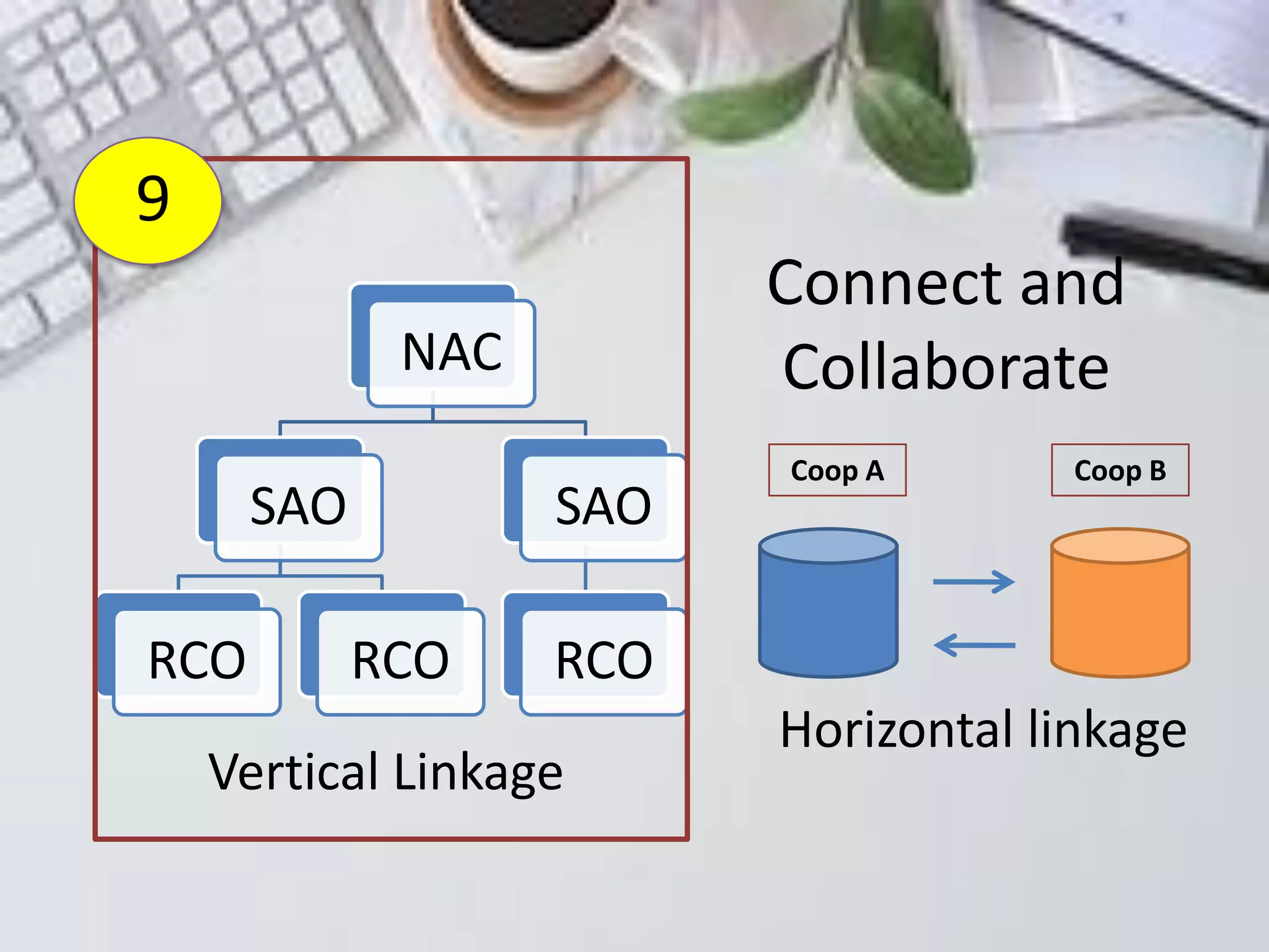Fundamental of Cooperatives by PCEDO and PCDC | PDF
