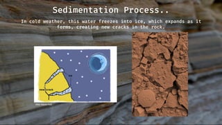 Fundamentals of Sedimentology and Stratigraphy | PDF