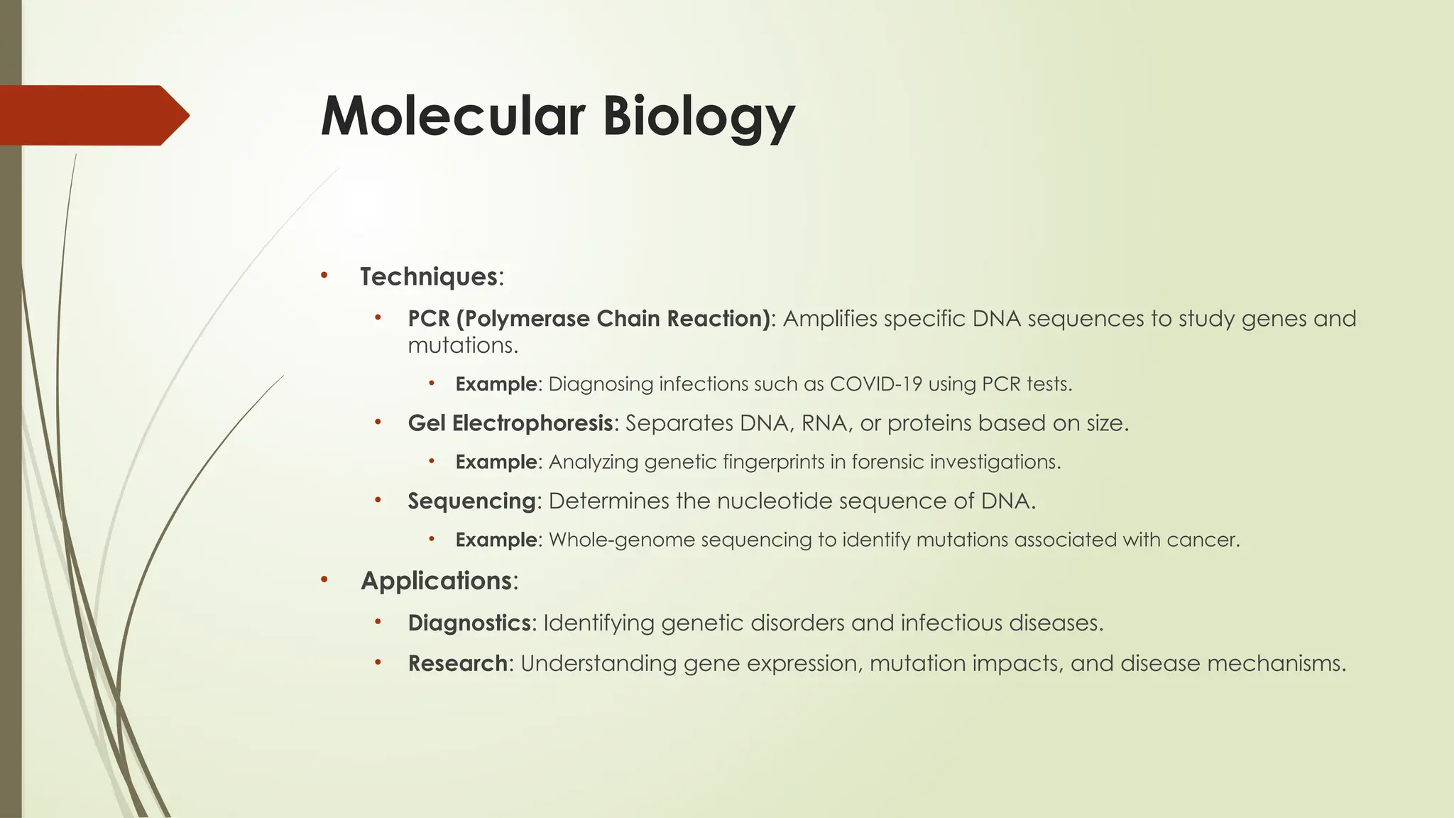 Fundamentals and Basic Principles of Medical Biotechnology.pptx
