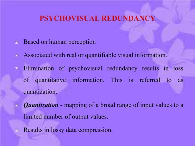 Fundamentals and image compression models | PPTX | Data Storage and ...