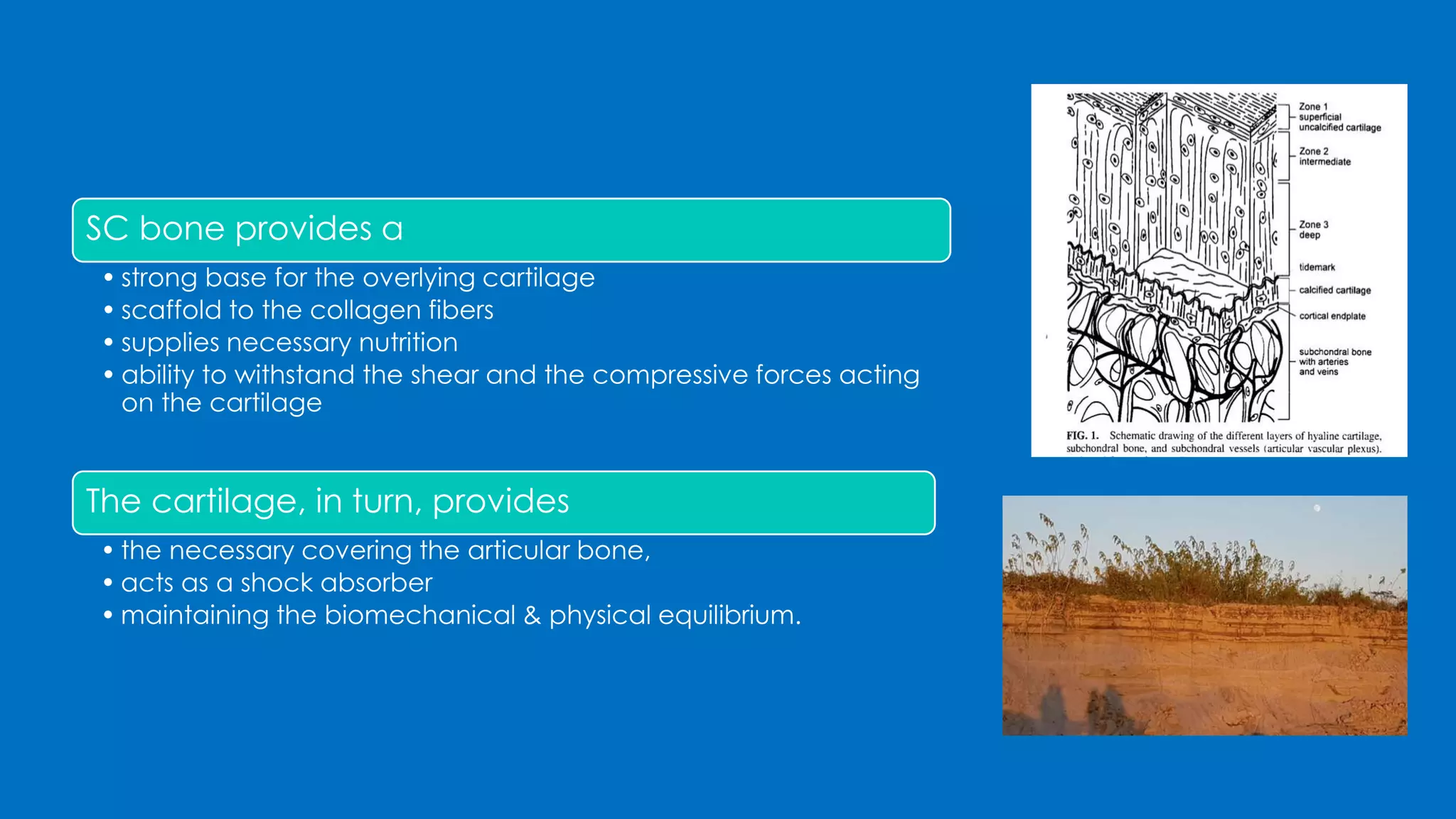 Fundamentals Cartilage Repair Surgery | PPTX