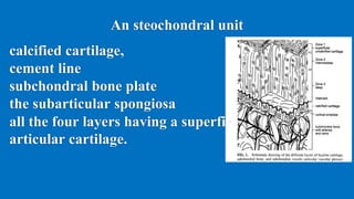 Fundamentals Cartilage Repair Surgery | PPTX