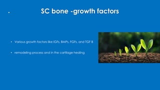 Fundamentals Cartilage Repair Surgery | PPTX
