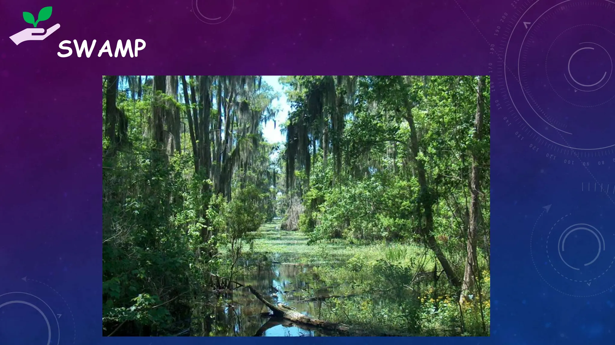 Fundamental Science_Grade1_habitats.pptx