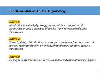 fundamentals in animal physiology for master studies | PDF