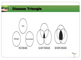 fundamentals of agricultural microbiology.pptx