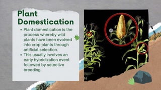 Fundamentals of Agricultural Science-1.pdf