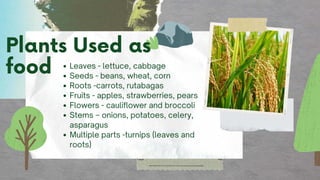 Fundamentals of Agricultural Science-1.pdf