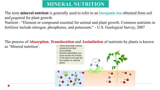 Fundamentals of Agronomy- Crop nutrition Part 1.pptx | Agriculture ...