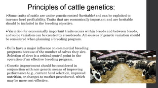 Fundamentals of animal genetics.pptx