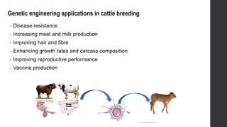 Fundamentals of animal genetics.pptx