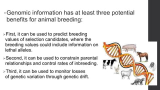 Fundamentals of animal genetics.pptx