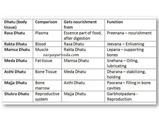 Fundamentals of Ayurveda .pdf