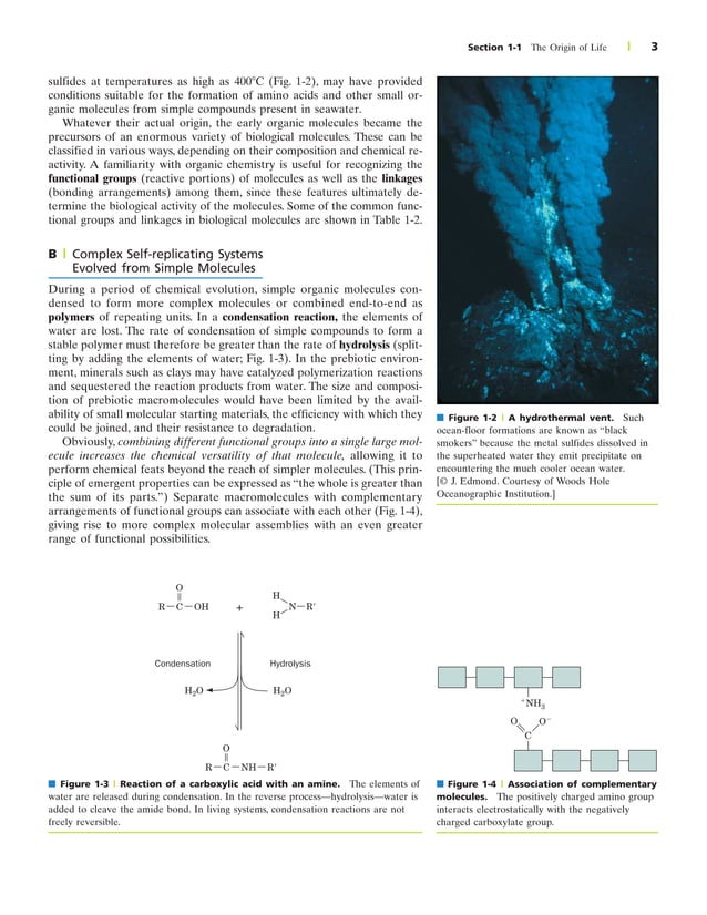 Fundamentals of Biochemistry, Life at the Molecular Level - D. Voet, J ...