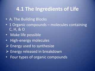 Fundamentals of biology | PPTX