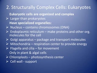 Fundamentals of biology | PPTX