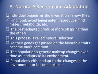 Fundamentals of biology | PPTX