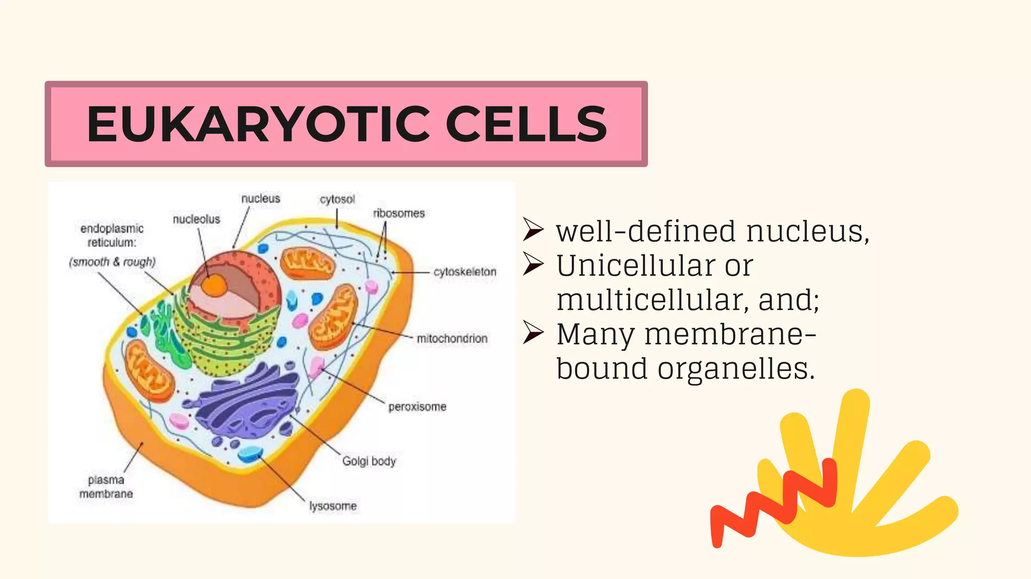 FUNDAMENTALS OF BIOLOGY WEEK 3-4.pptx