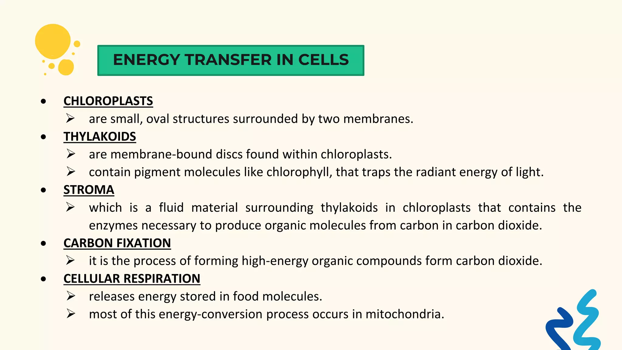 FUNDAMENTALS OF BIOLOGY WEEK 3-4.pptx