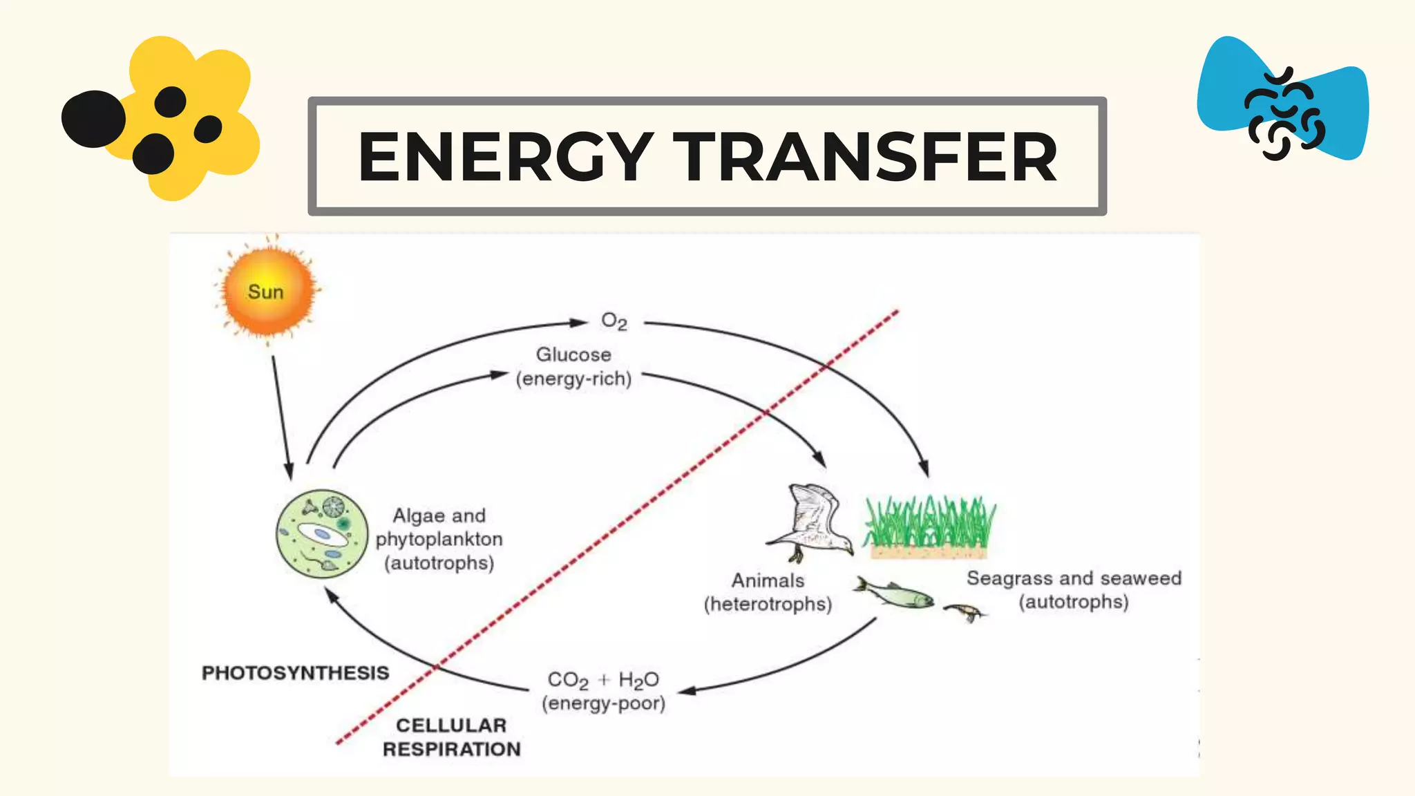 FUNDAMENTALS OF BIOLOGY WEEK 3-4.pptx