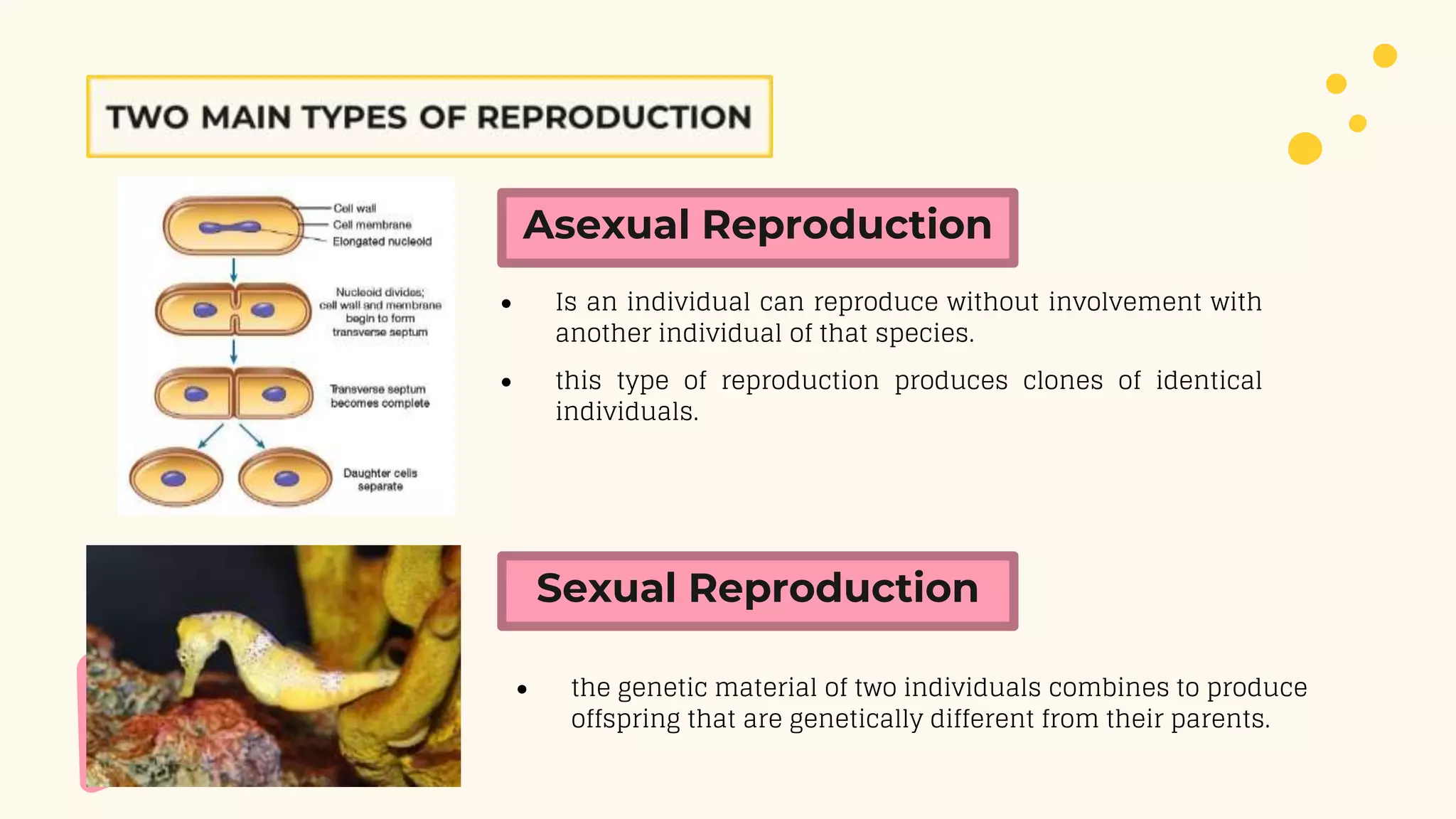 FUNDAMENTALS OF BIOLOGY WEEK 3-4.pptx