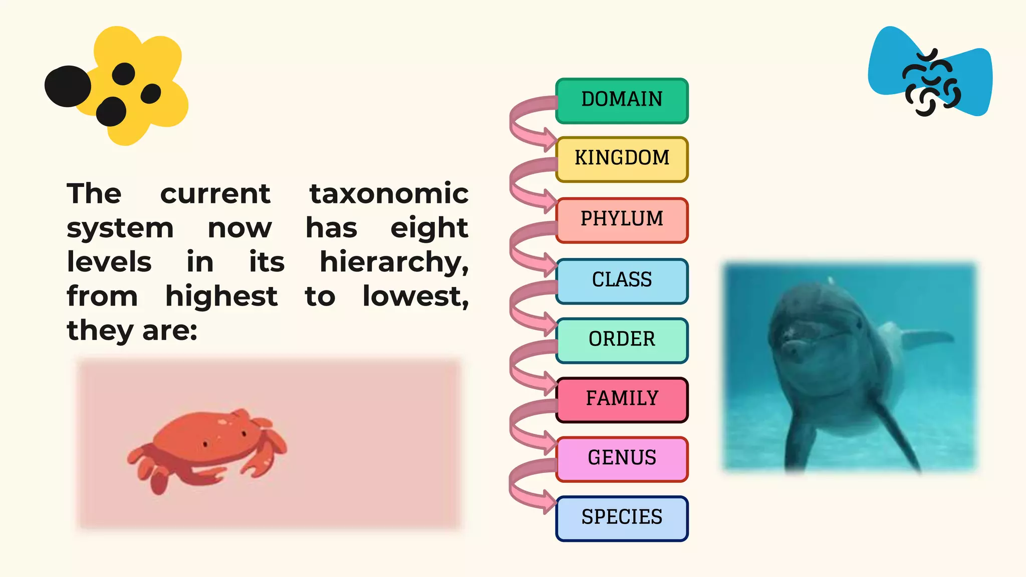 FUNDAMENTALS OF BIOLOGY WEEK 3-4.pptx