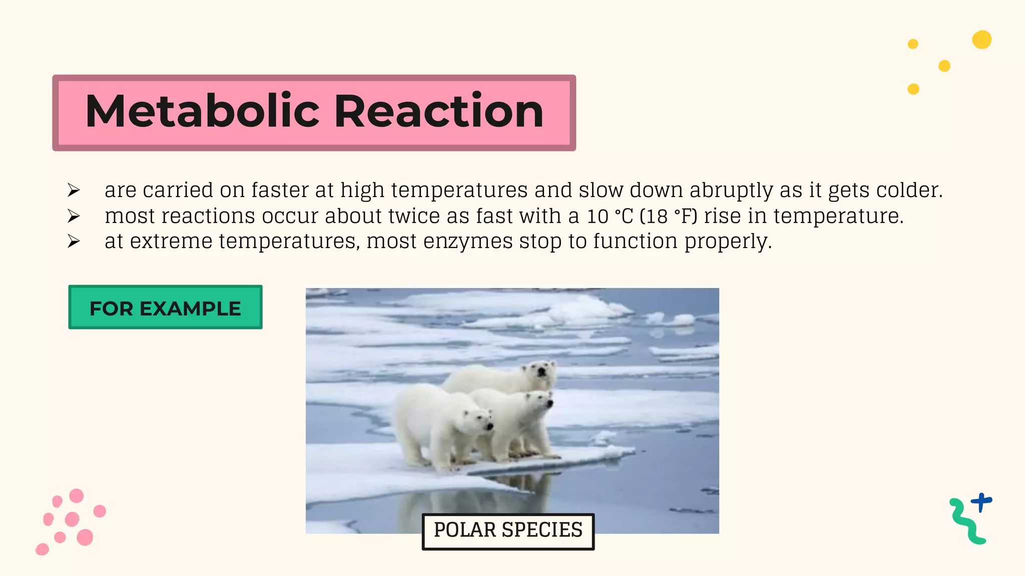 FUNDAMENTALS OF BIOLOGY WEEK 3-4.pptx