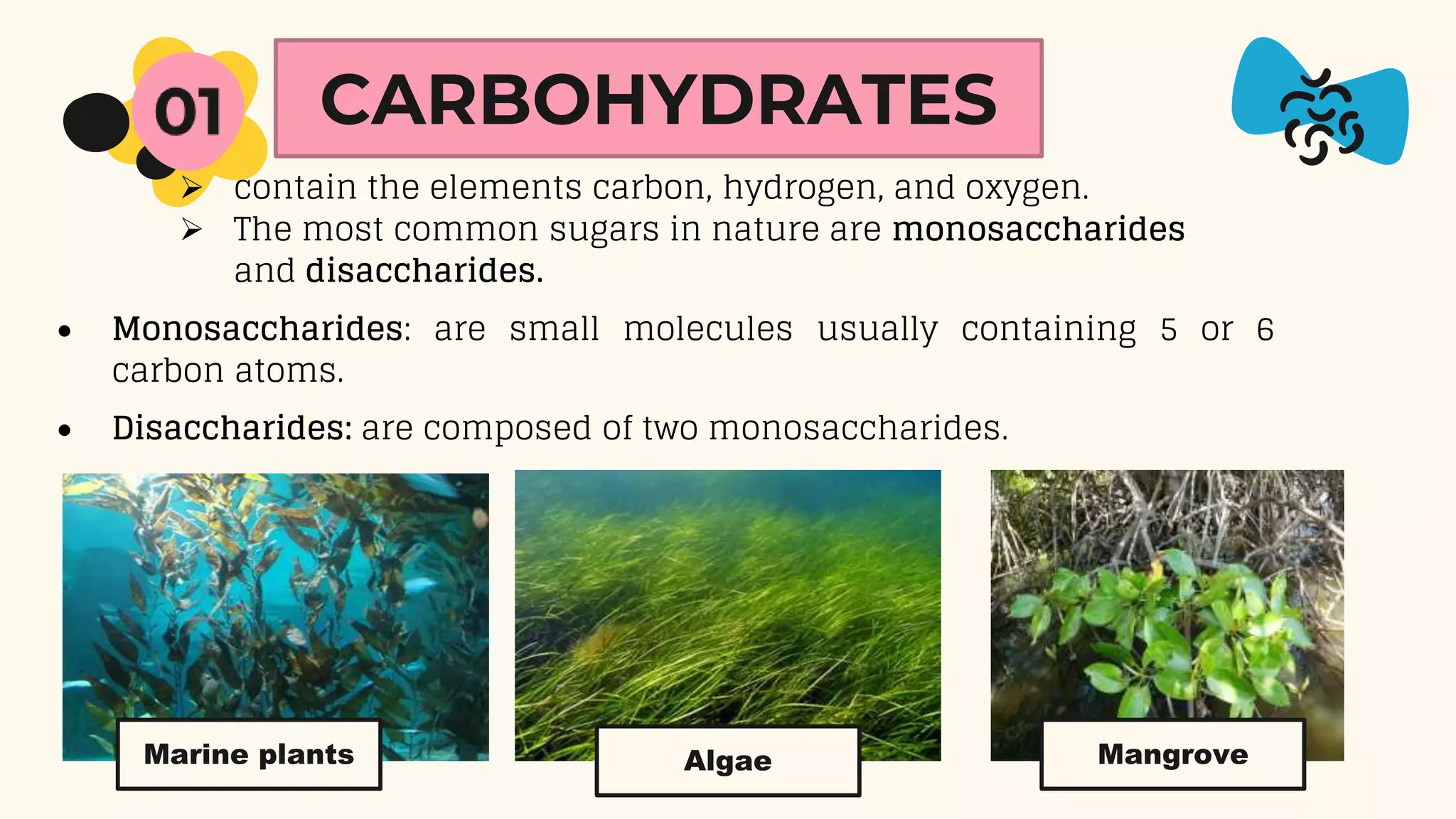 FUNDAMENTALS OF BIOLOGY WEEK 3-4.pptx