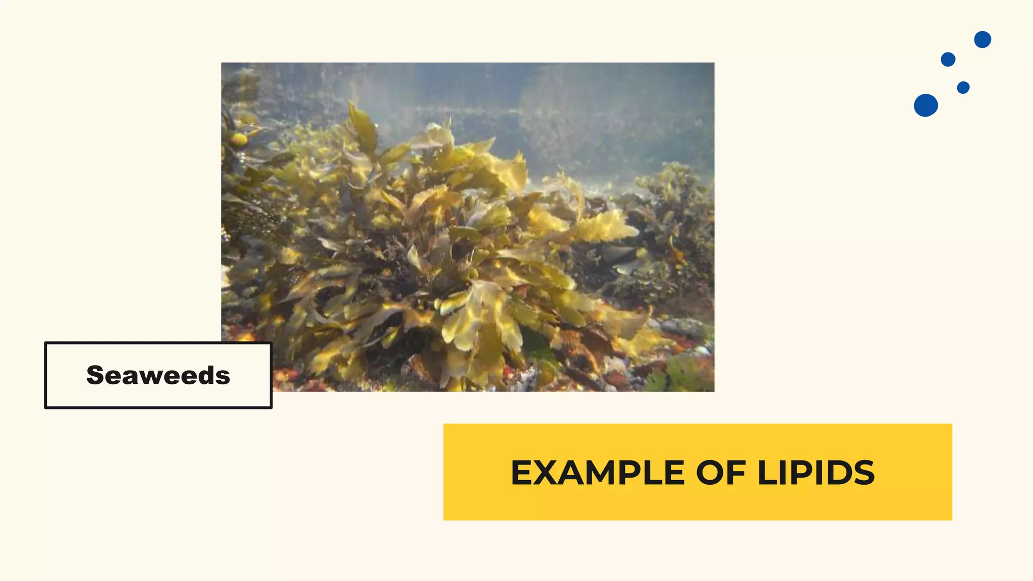 FUNDAMENTALS OF BIOLOGY WEEK 3-4.pptx