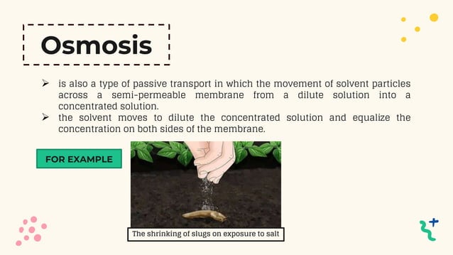 FUNDAMENTALS OF BIOLOGY WEEK 3-4.pptx