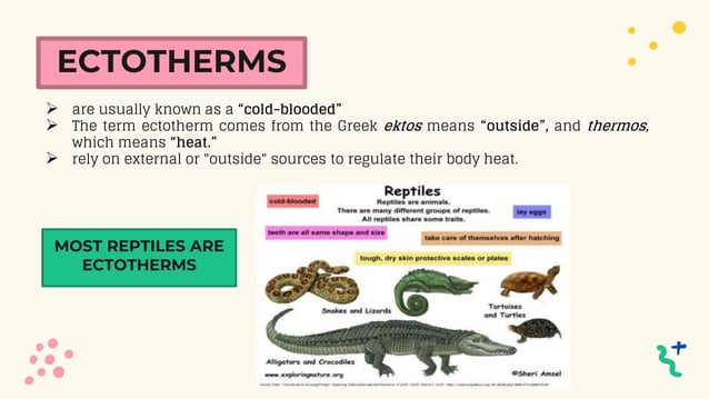 FUNDAMENTALS OF BIOLOGY WEEK 3-4.pptx