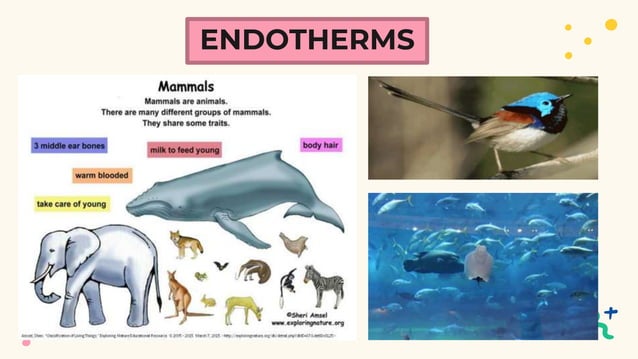FUNDAMENTALS OF BIOLOGY WEEK 3-4.pptx